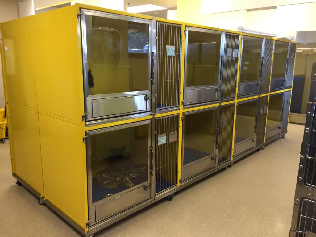 Professional Double Stack Dog Kennel | Direct Animal