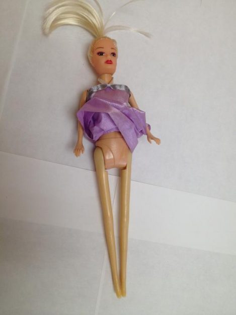 The Scary Barbee | Direct Animal